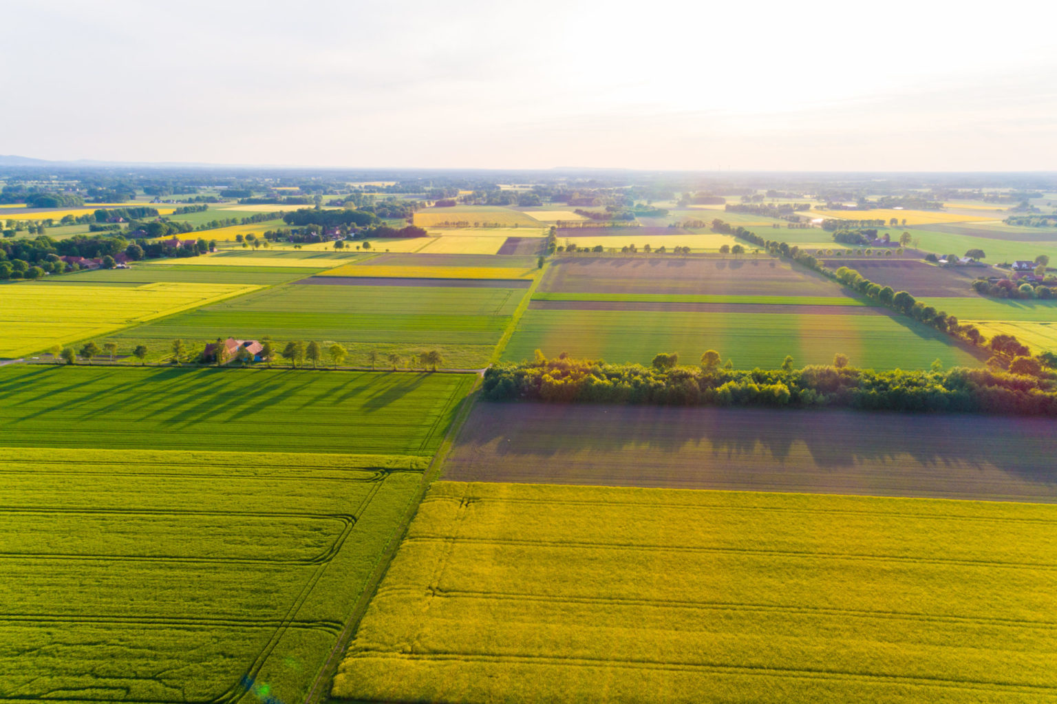 Start - Netzwerk Ackerbau Niedersachsen e.V. / Ackerbauzentrum
