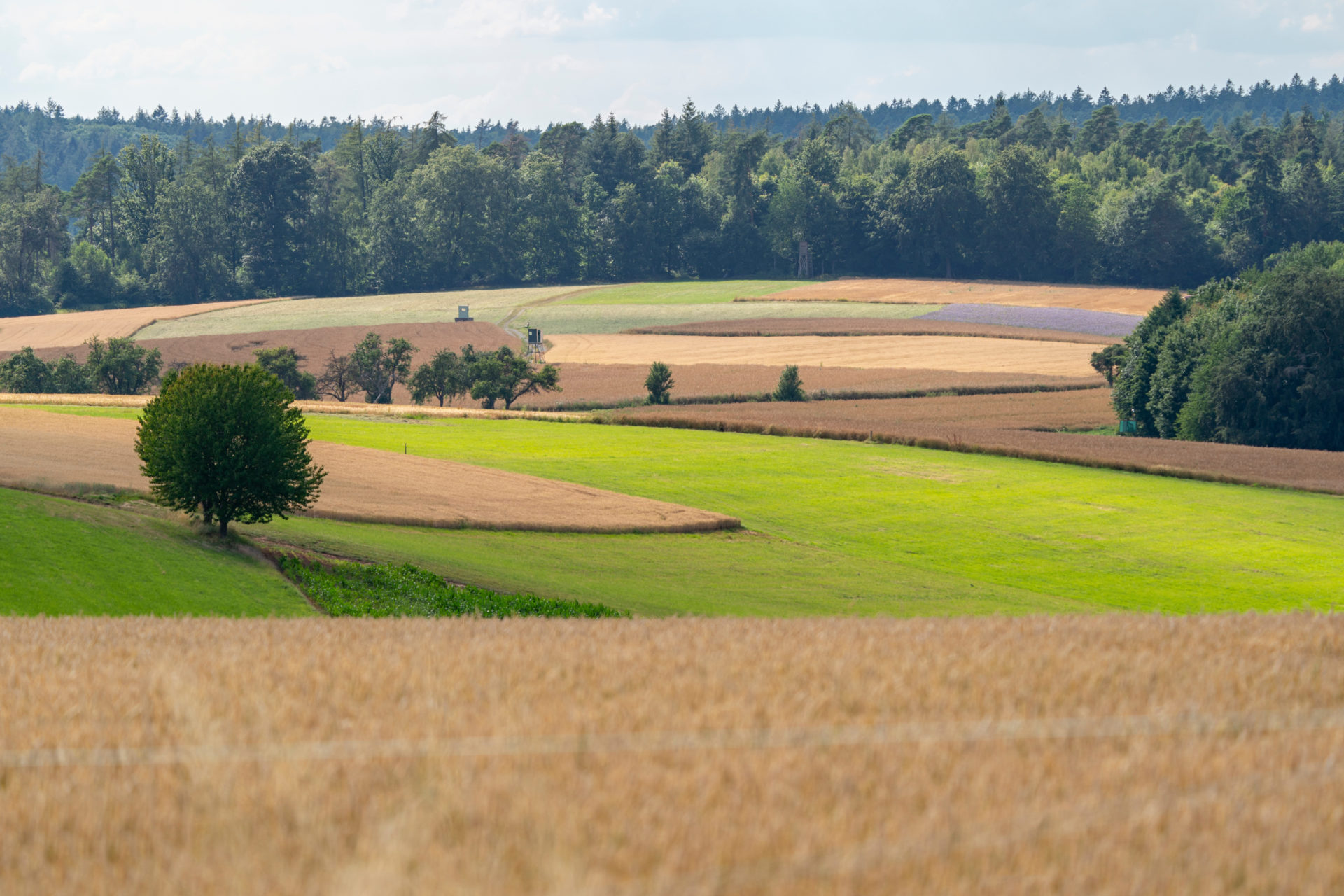 Infothek - Netzwerk Ackerbau Niedersachsen e.V. / Ackerbauzentrum